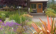 Pacific Horticulture | Frog Song Farm