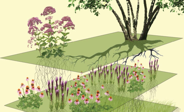 Pacific Horticulture | Designing Plant Communities