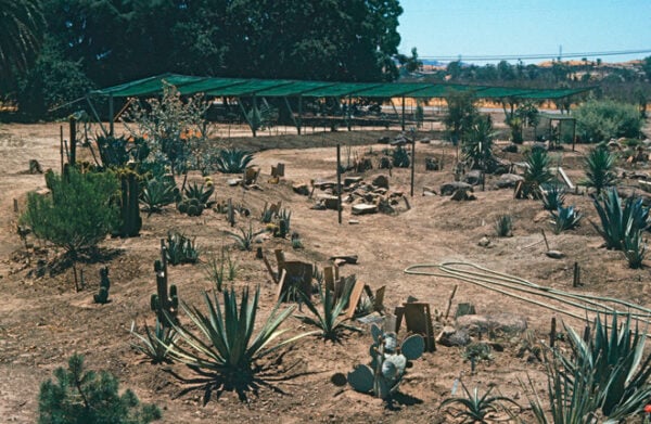 Pacific Horticulture | The Ruth Bancroft Garden