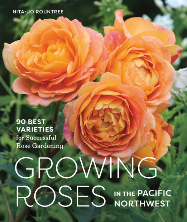 Pacific Horticulture | Growing Roses in the Pacific Northwest