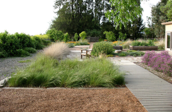 Pacific Horticulture | Planting the New California Garden Part 3 ...