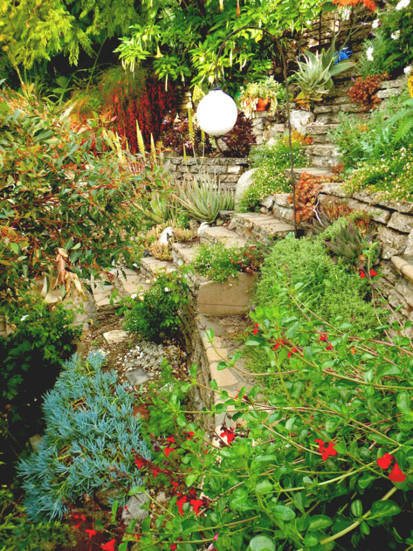 Pacific Horticulture | Susanna's Folly