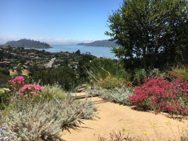 Pacific Horticulture | Planting the New California Garden Part 4: Kelly ...