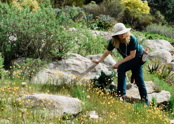 Pacific Horticulture | Meghan Ray, University of California Botanical ...