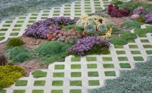 Pacific Horticulture | Nash Garden