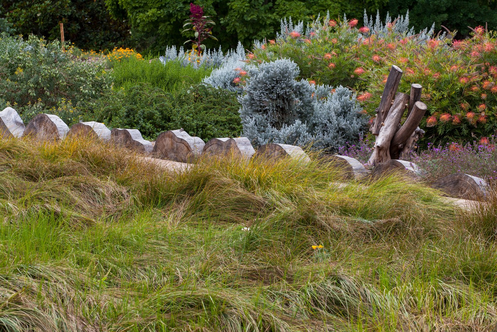 Pacific Horticulture | Growing Inspiration, Harvesting Water