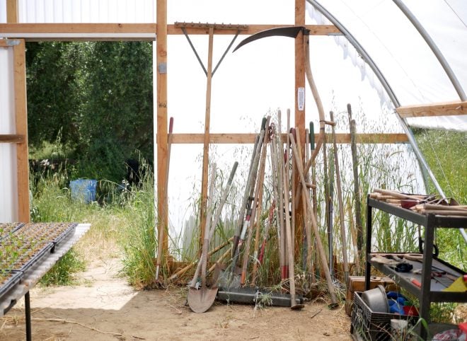 Pacific Horticulture | The Seed Stewards