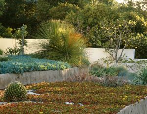 Pacific Horticulture | Shaping Place in the Landscape