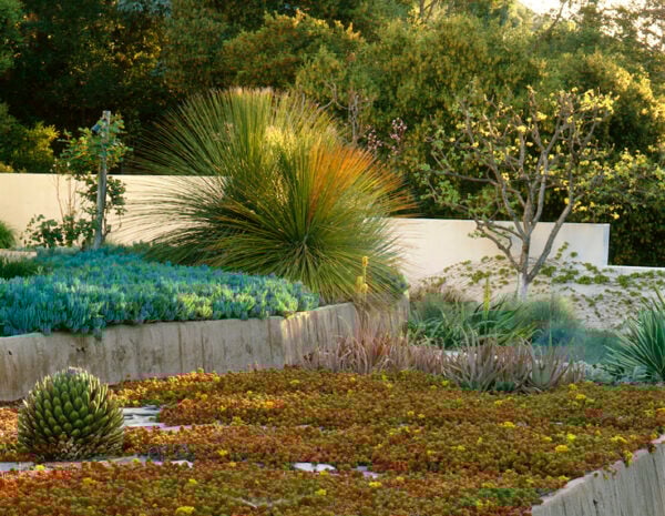 Pacific Horticulture | Shaping Place in the Landscape
