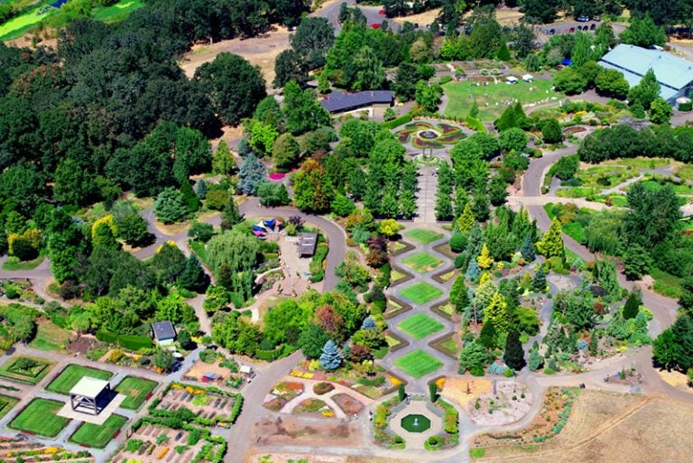 Pacific Horticulture | The Oregon Garden