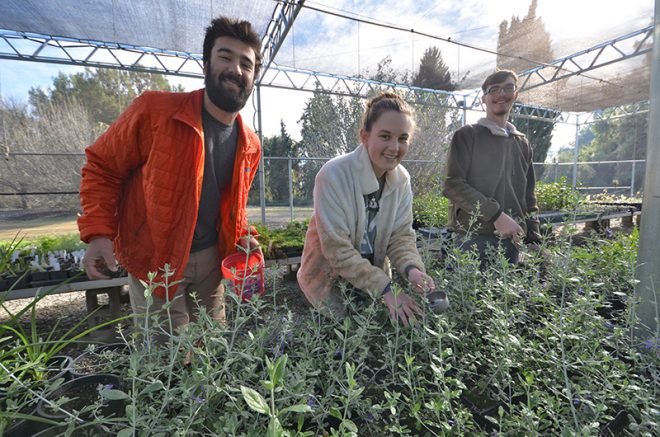 Pacific Horticulture | Horticulture is Critical to Our Future