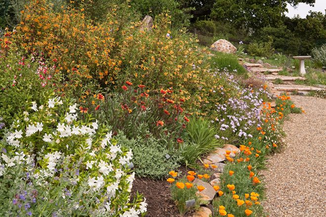 Pacific Horticulture | Sustainable Defensible Space