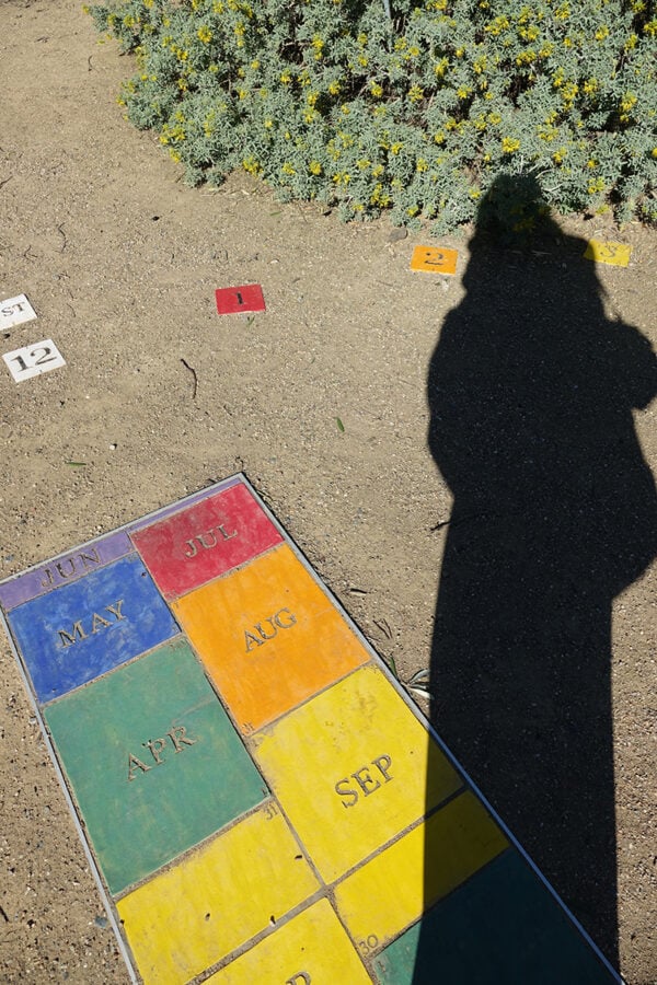 Pacific Horticulture | The Buzz on Bee Gardening—supporting critical ...