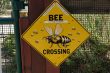 Pacific Horticulture | The Buzz on Bee Gardening—supporting critical ...