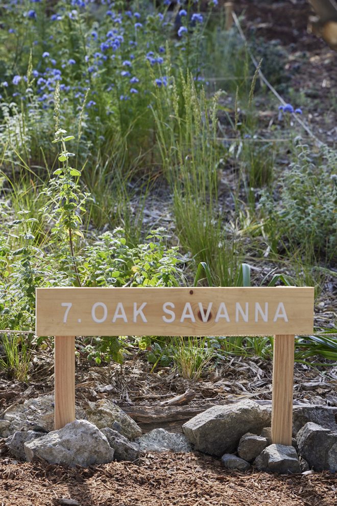 Pacific Horticulture | The Potrero Hill Eco-Patch: Part 1 of 2