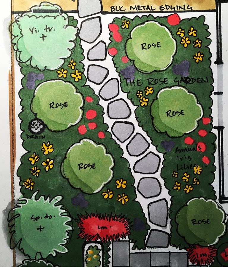 Pacific Horticulture | Organized chaos—Food, Roses and a Jungle Retreat