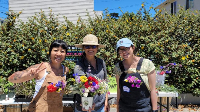 Pacific Horticulture | The Seed Stewards