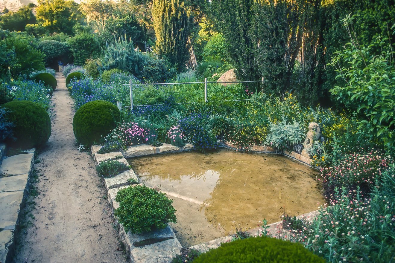 Pacific Horticulture | Lockwood de Forest III