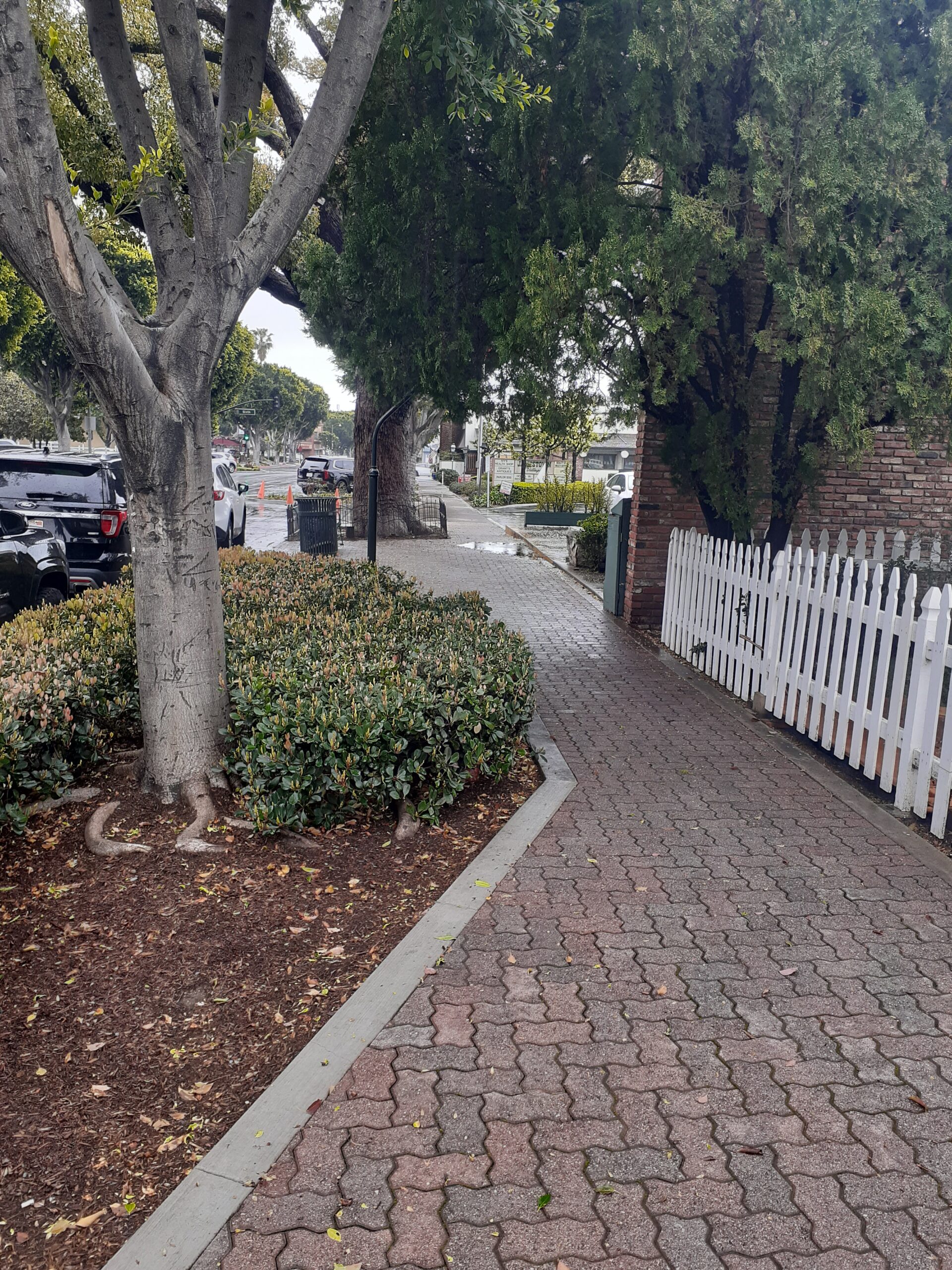 Pacific Horticulture | Designing for Thermal Comfort and Cooling