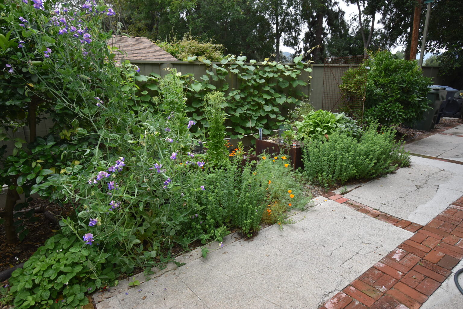 Pacific Horticulture | 2023 Design Futurist Honors: The Nest and A Resilient Cottage