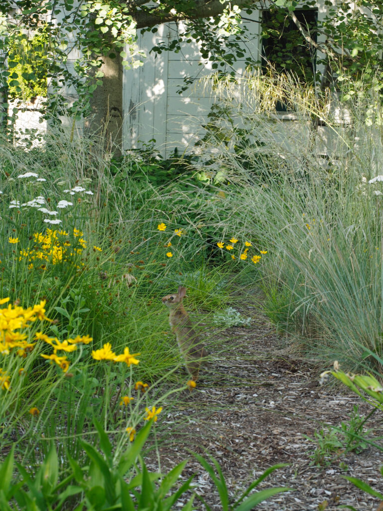 Pacific Horticulture | And the Design Futurist Award goes to…