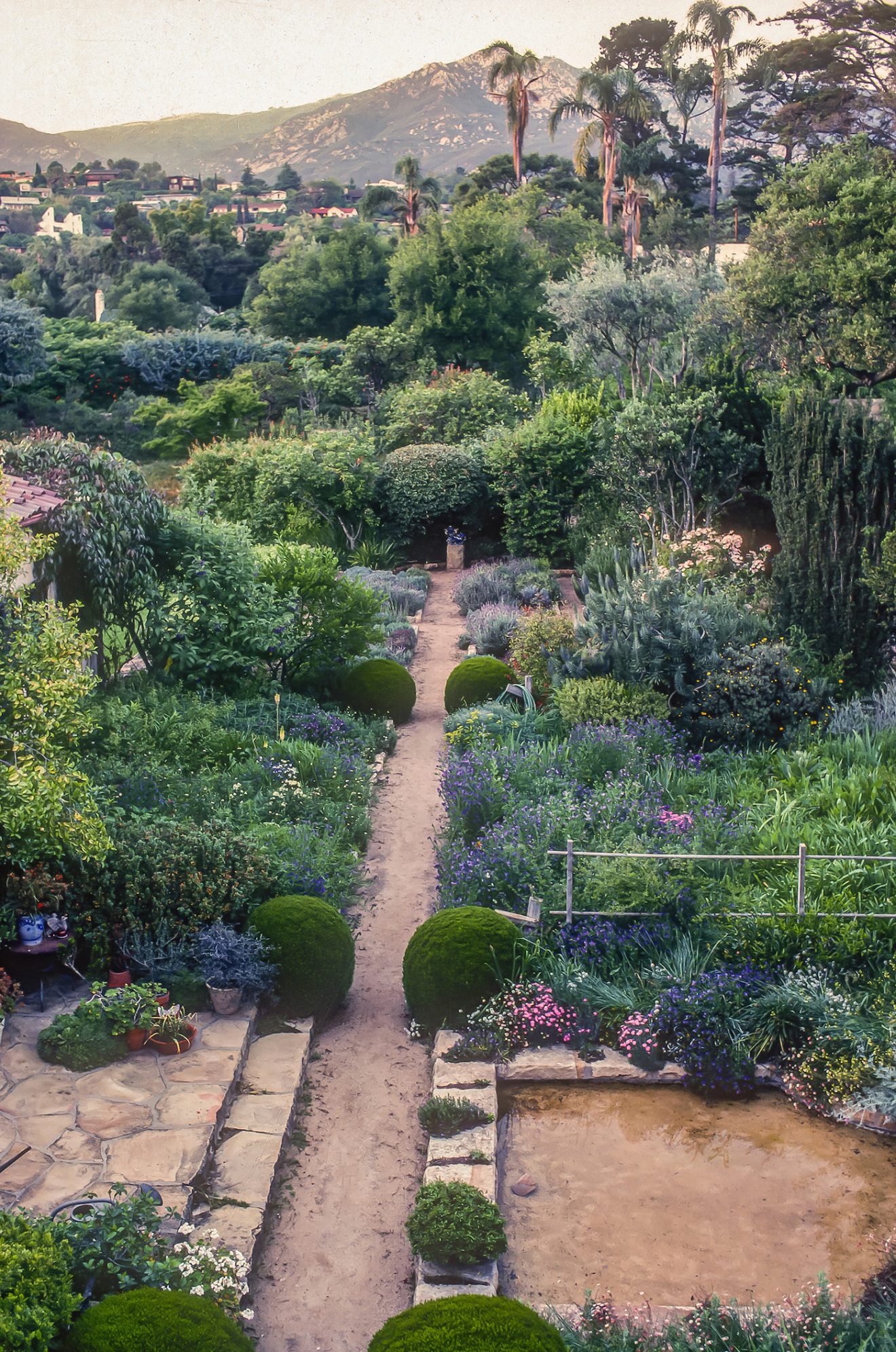 Pacific Horticulture | Lockwood de Forest III