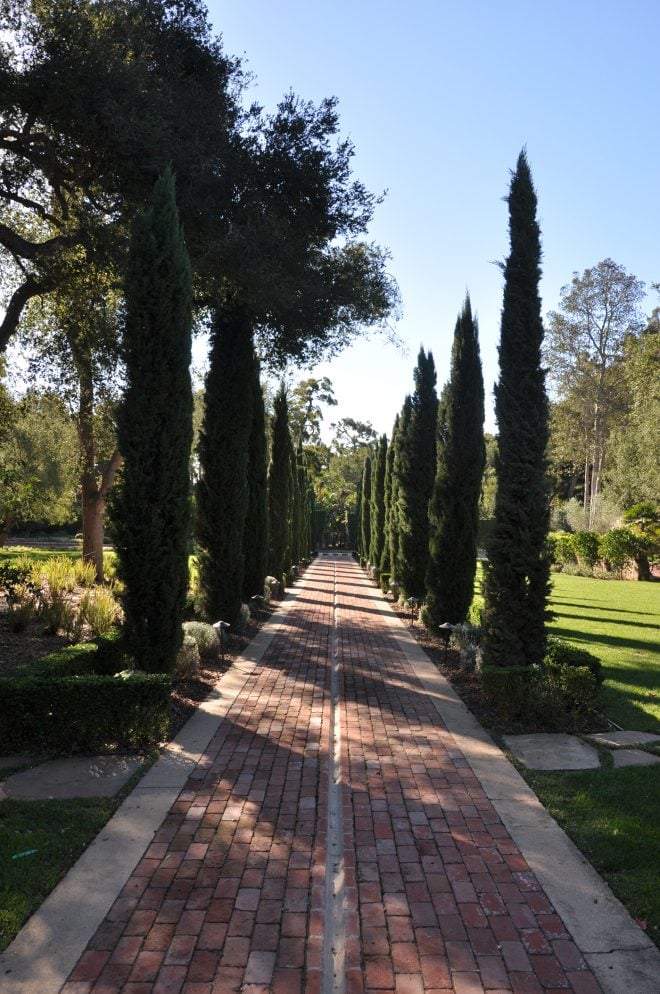 Pacific Horticulture | Lockwood de Forest III