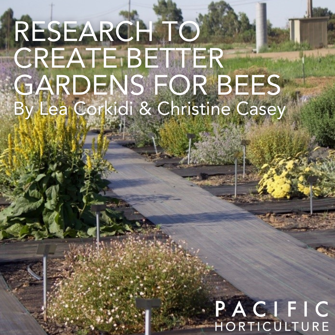 Pacific Horticulture