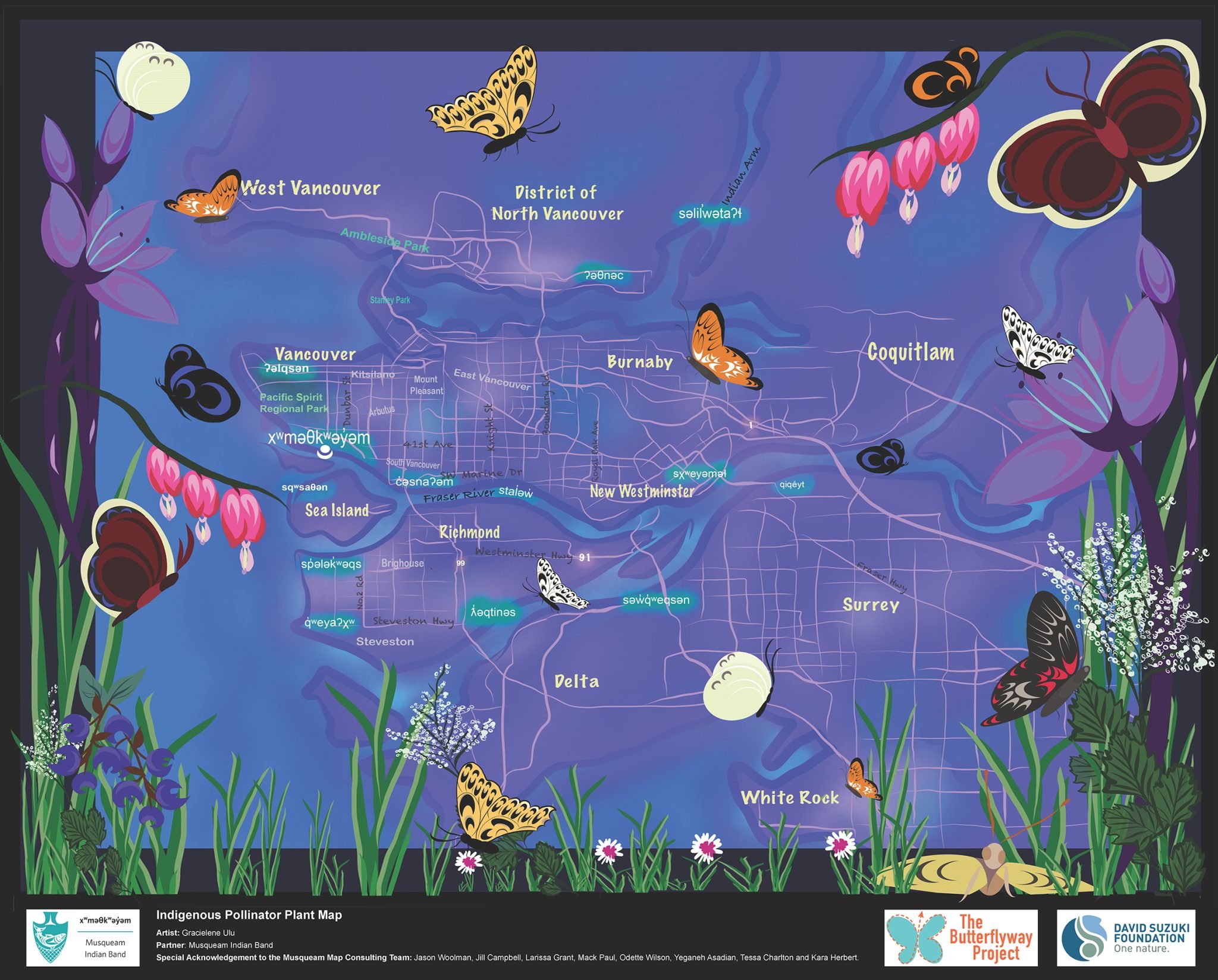 Pacific Horticulture | Musqueam Indigenous Pollinator Plant Map