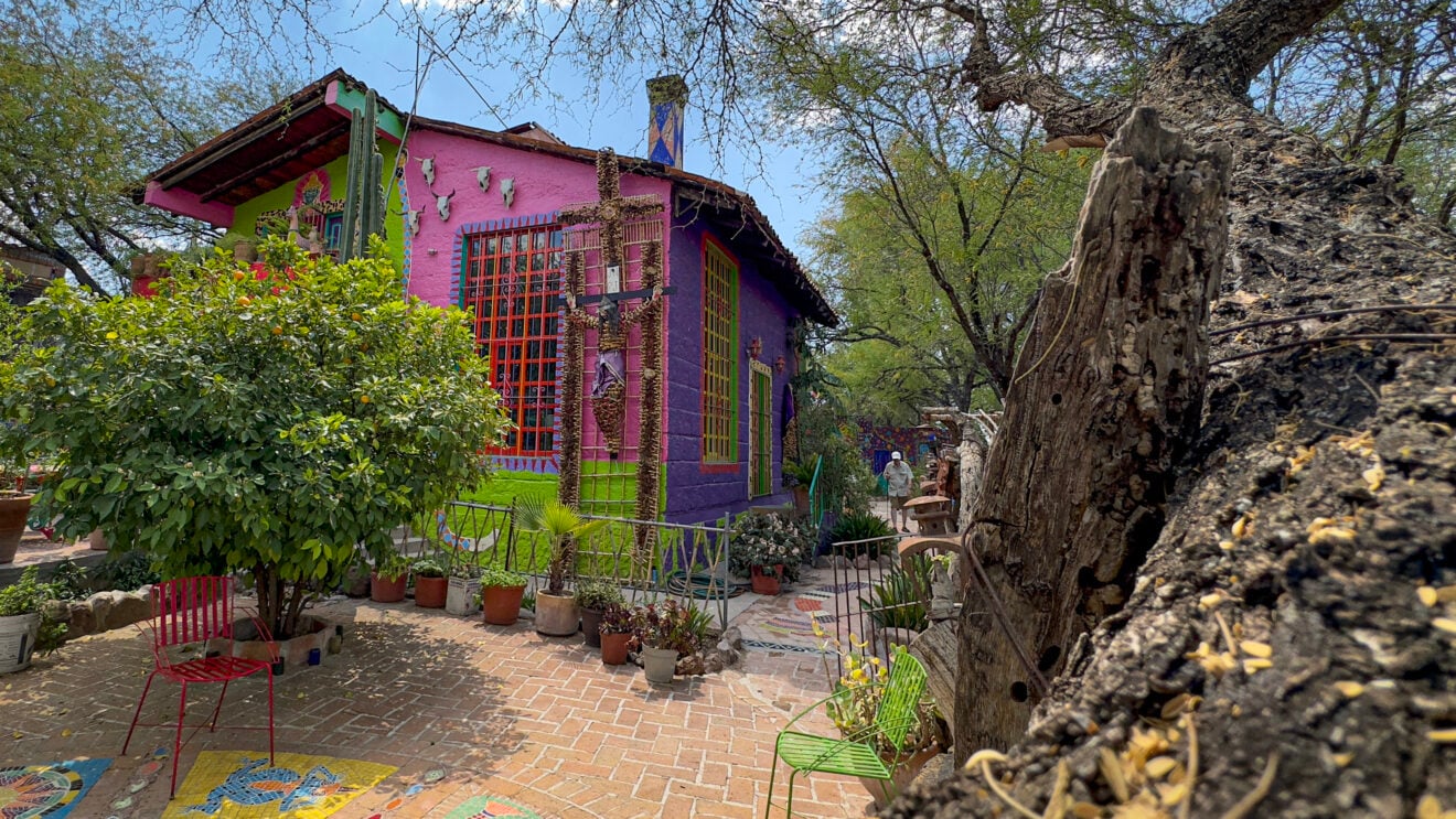 Pacific Horticulture | San Miguel_New