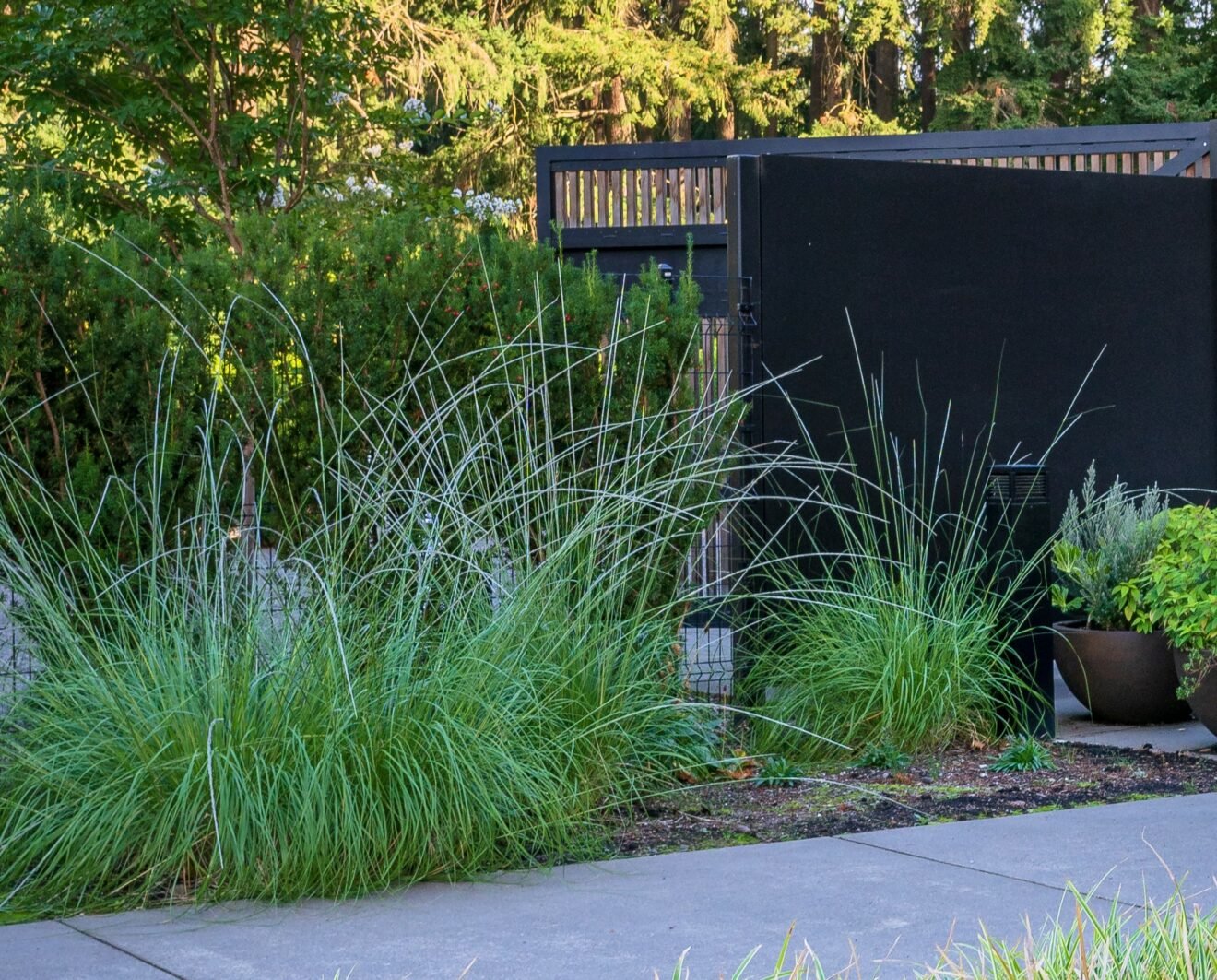 Adam Hart - Pacific Horticulture