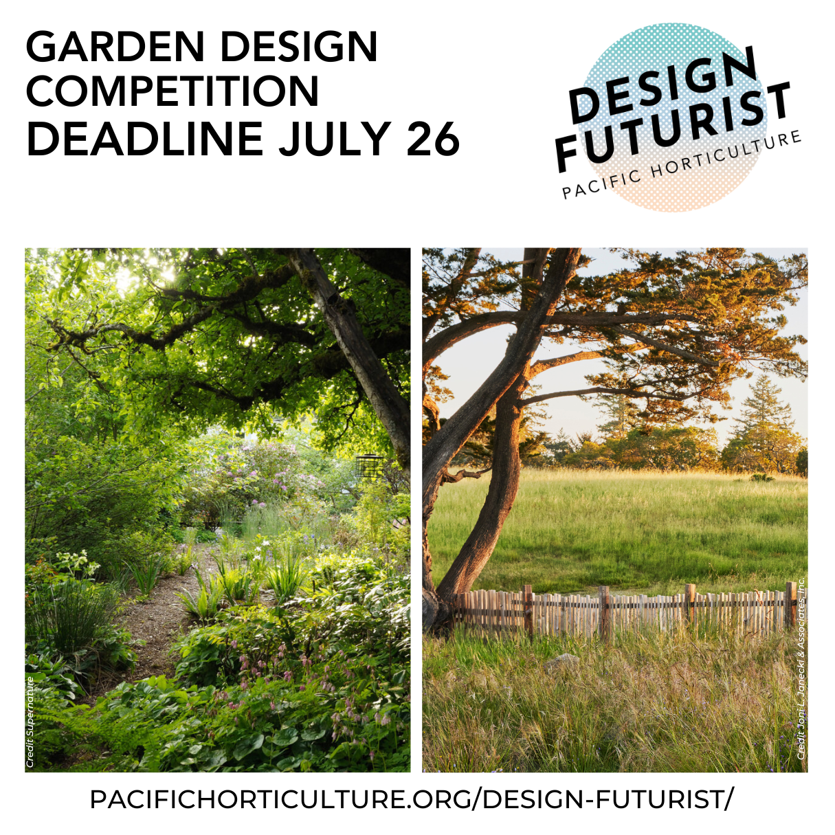 Pacific Horticulture | Natural Beauties: Two Seattle Award-winners ...