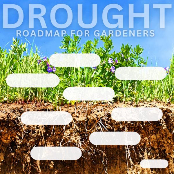 Pacific Horticulture | Drought Roadmap for Gardeners: Roots