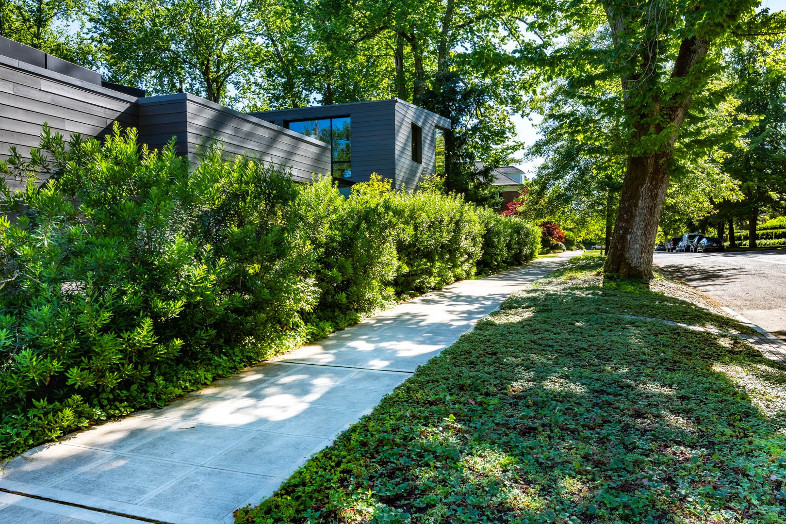 Pacific Horticulture | Habitat Hedges—the Friendliest Screening