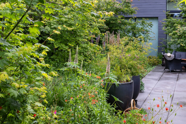 Pacific Horticulture | Natural Beauties: Two Seattle Award-winners ...