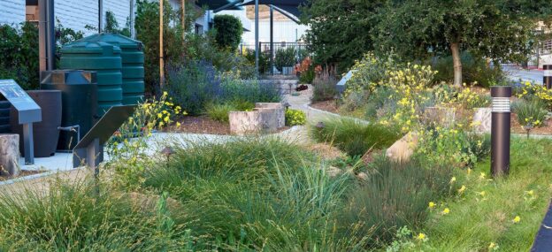 Pacific Horticulture | Summer 2014