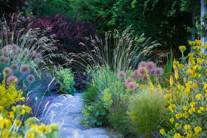 Business & Organization Members Archive - Pacific Horticulture