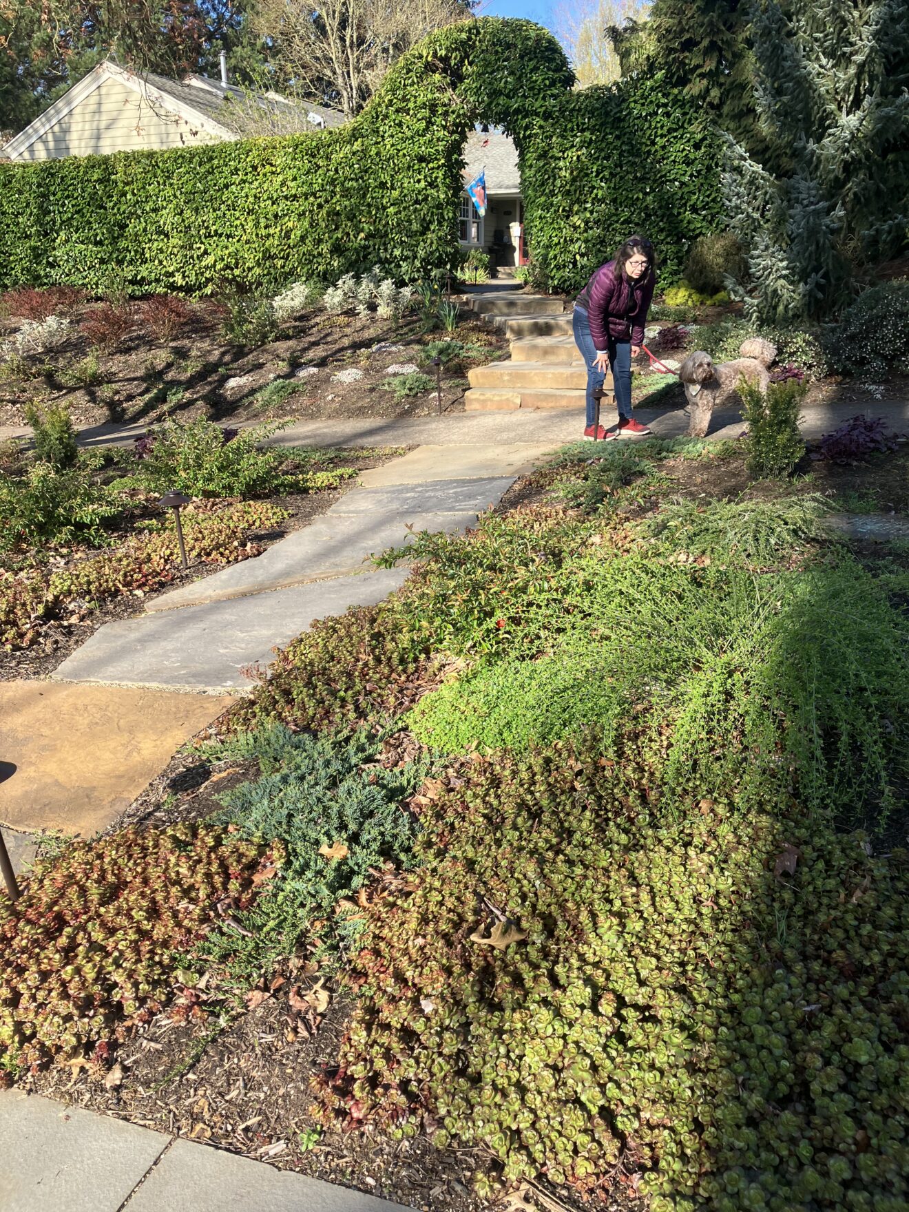 Pacific Horticulture | Blanket the Ground - Native Groundcover ...