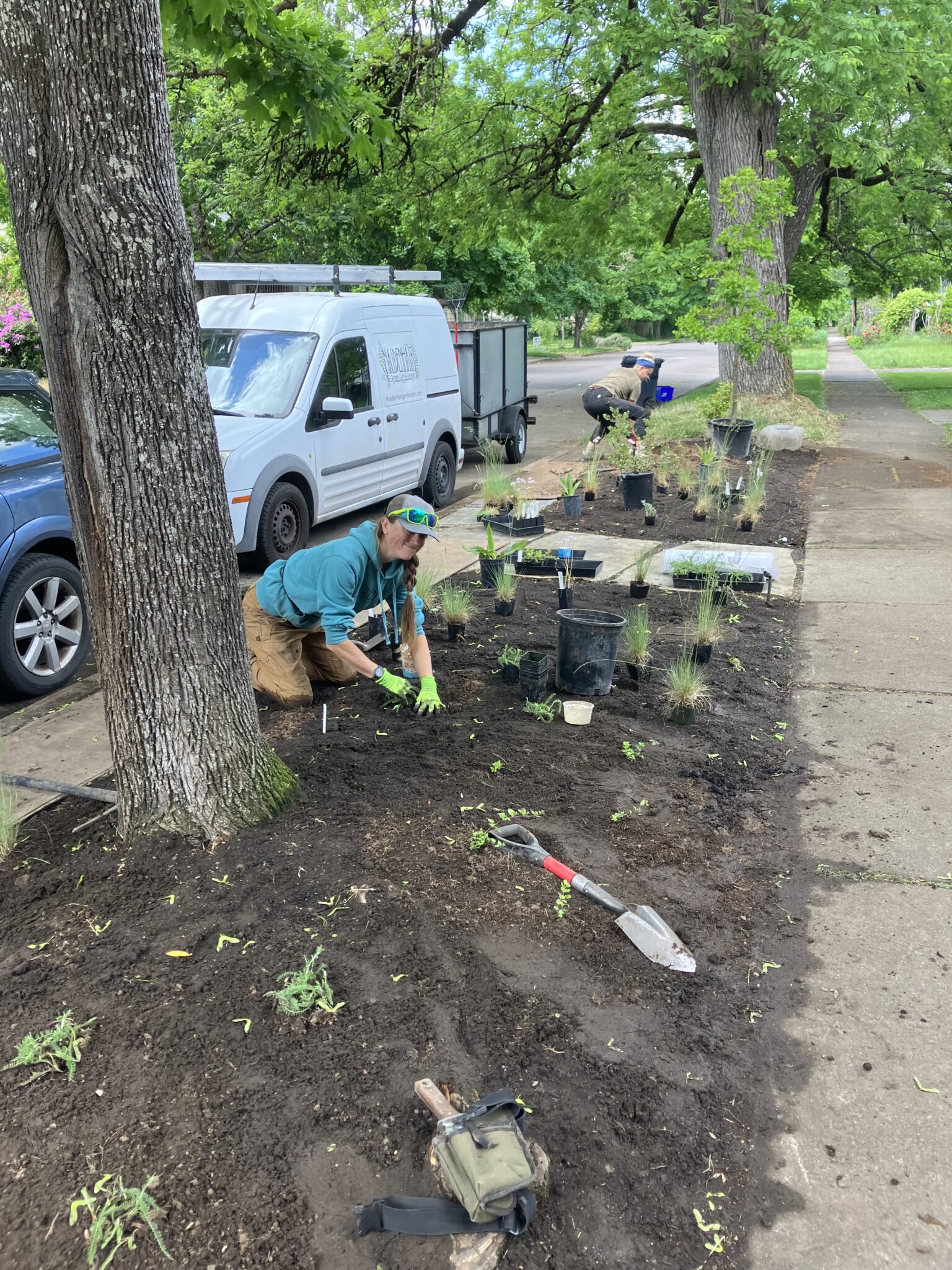 Pacific Horticulture | Blanket the Ground - Native Groundcover ...