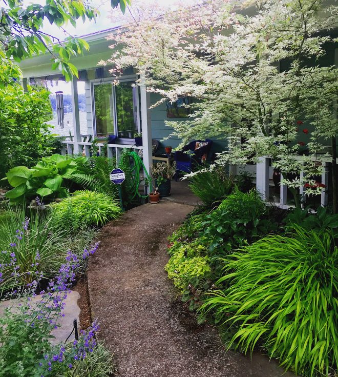 Pacific Horticulture | The Allure of Forest Gardens