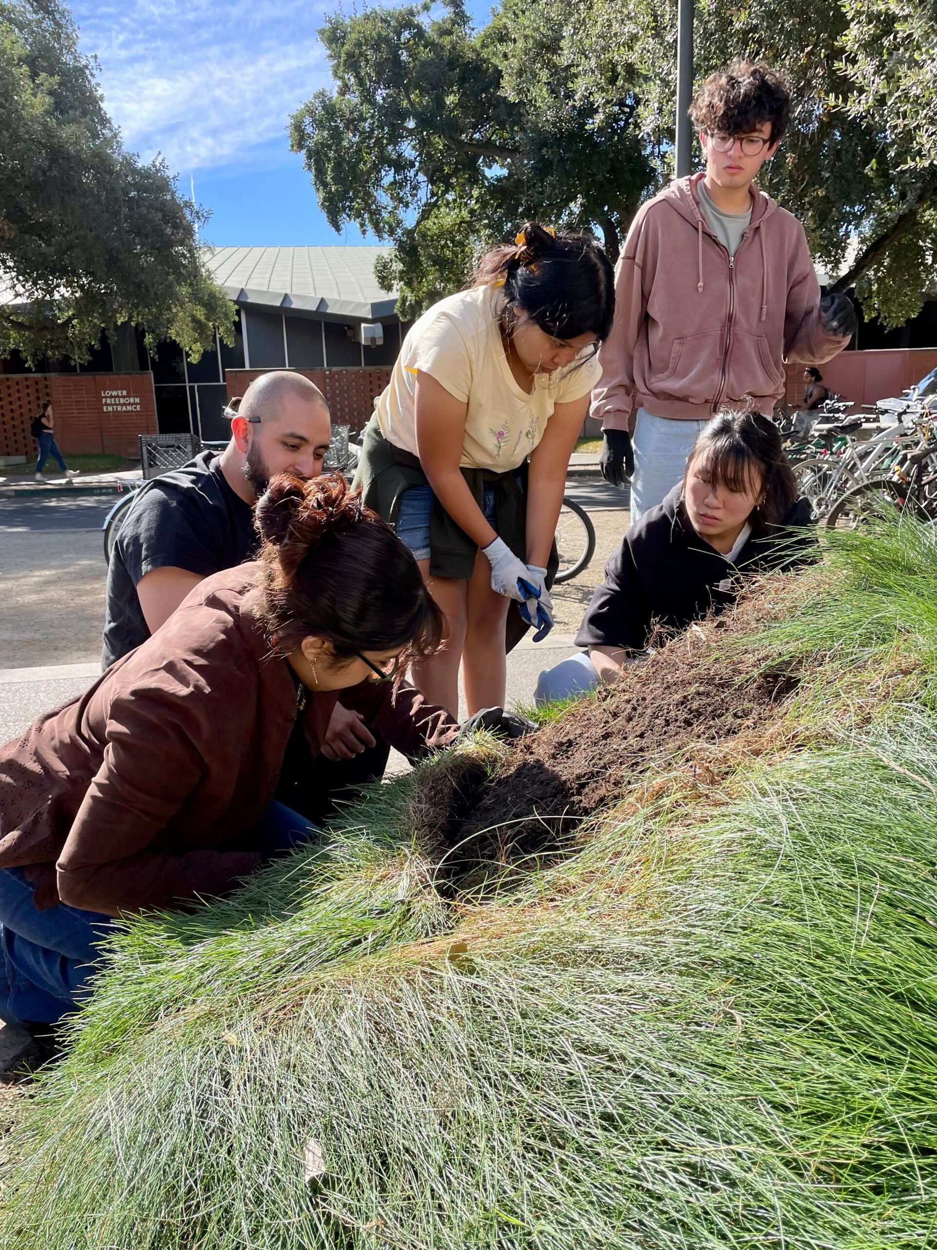 Pacific Horticulture | Innovative Programs for New Careers in ...