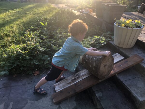 Pacific Horticulture | Untamed Childhood Landscapes at Home