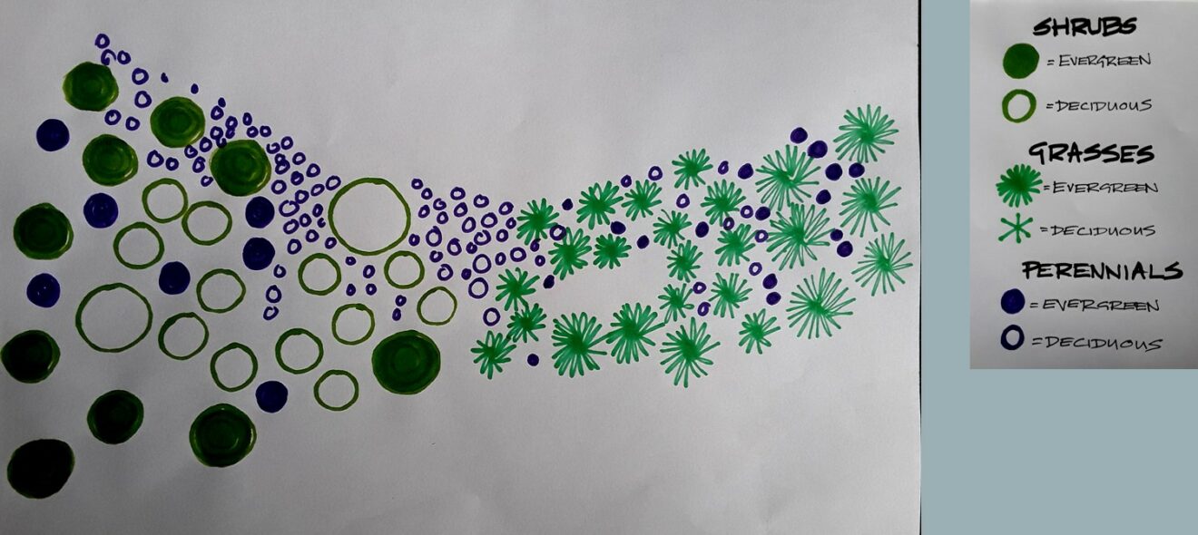 Pacific Horticulture | Drought Roadmap for Gardeners: Design