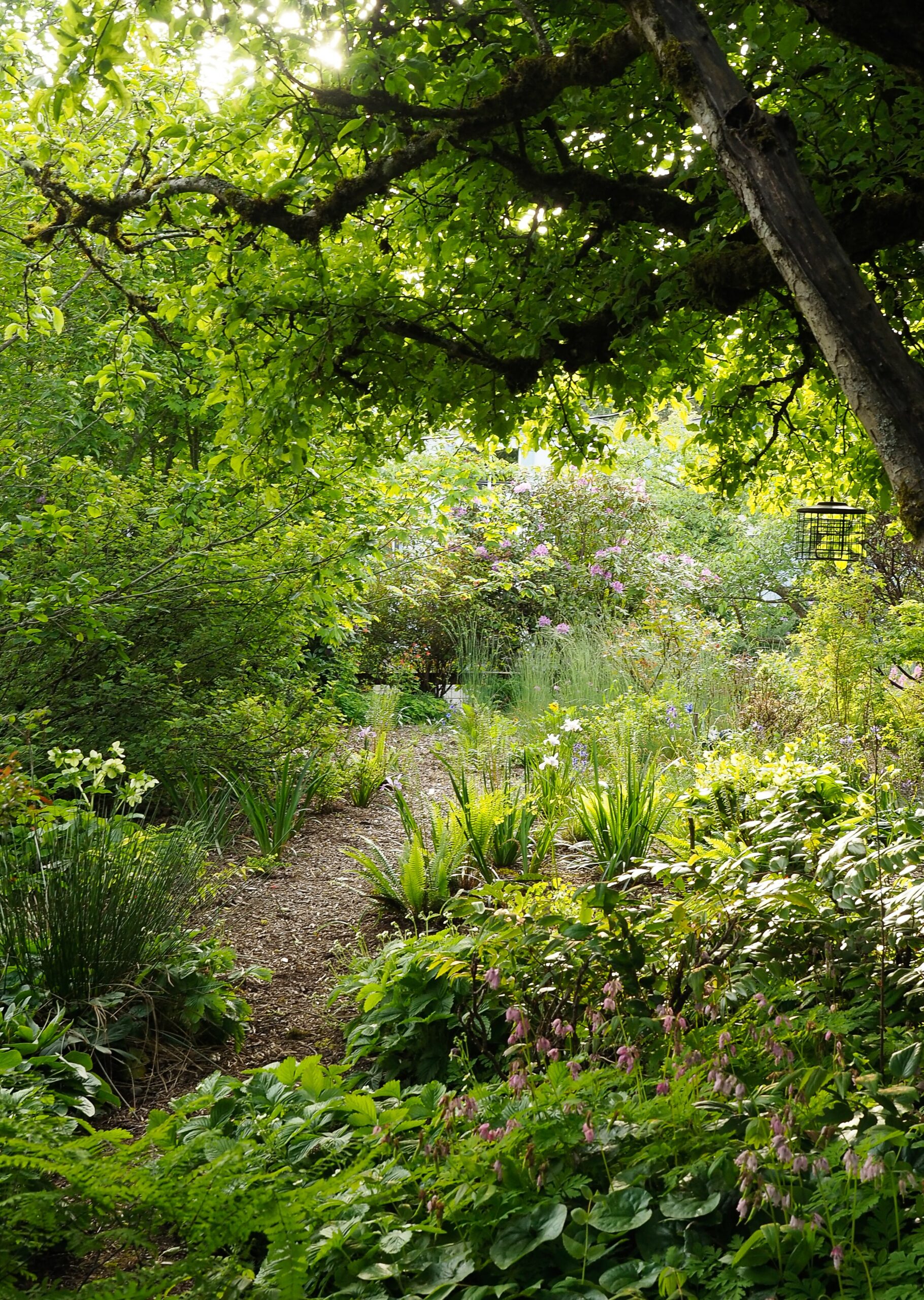 Pacific Horticulture | And the Design Futurist Award goes to…