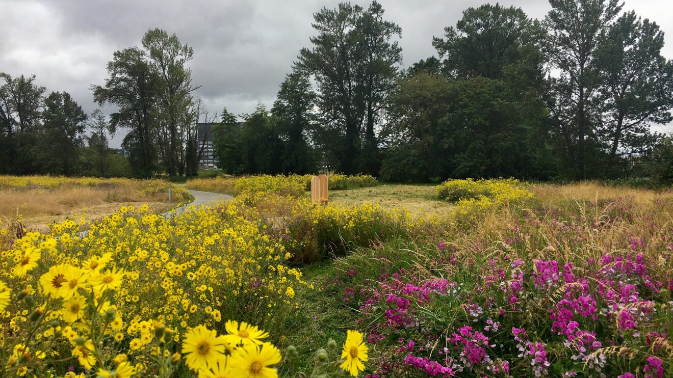 Pacific Horticulture