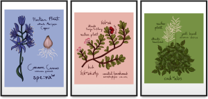 Pacific Horticulture | Musqueam Indigenous Pollinator Plant Map