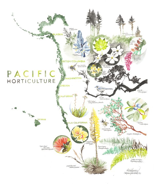 Pacific Horticulture | Pacific Horticulture: Our Work