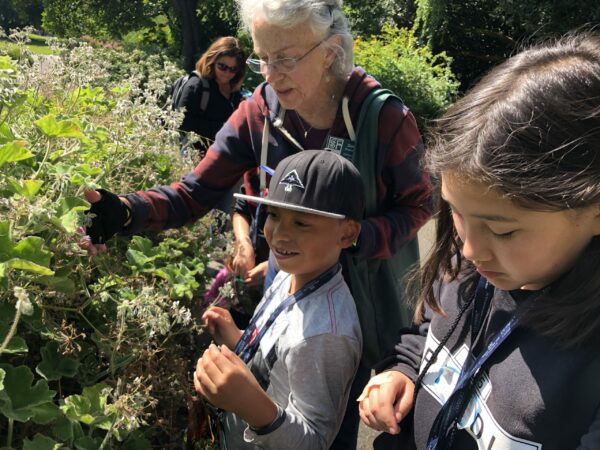 Pacific Horticulture | January Showers Bring February flowers…