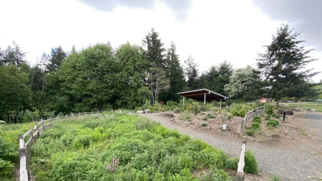 Pacific Horticulture | Portland Parks’ “Nature Patches”