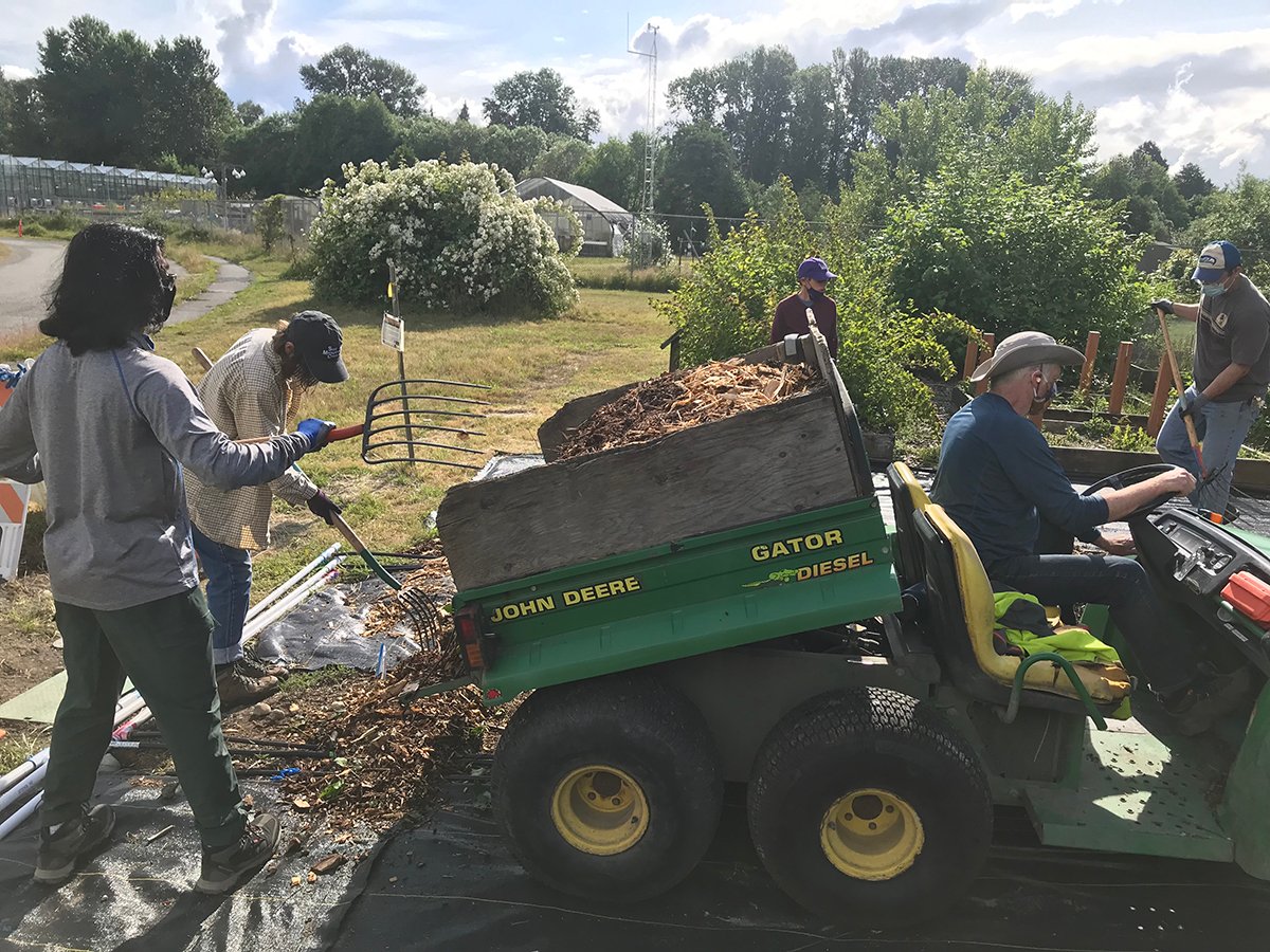 Pacific Horticulture | Drought Roadmap for Gardeners: Installation